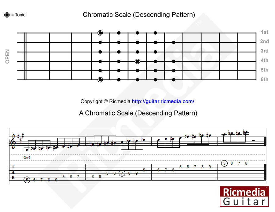 Chromatic Scale Ricmedia Guitar